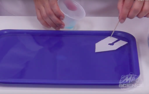 Fun Science Experiments To Try At Home With Kids - NOLA Family Magazine