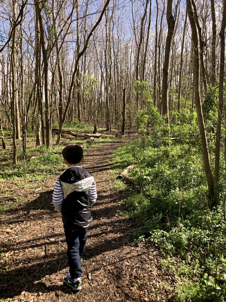 Mom About Town: Meet Jennifer Zdon! - NOLA Family Magazine