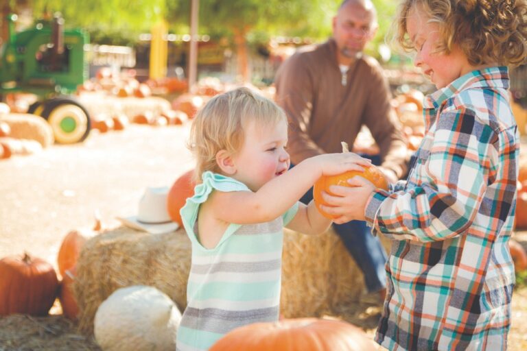 Exploring Autumn - NOLA Family Magazine