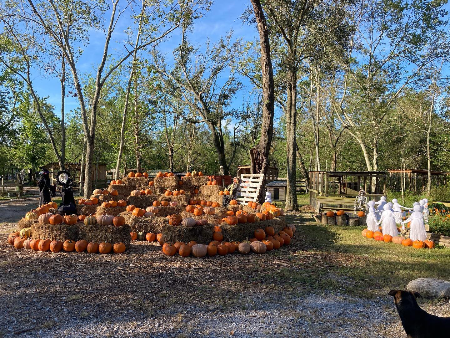 Pumpkins, Mazes and Haunted Places: Fall Events in New Orleans - NOLA ...